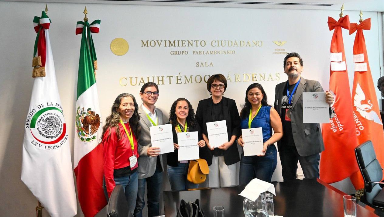 Alliance Incubator - Global Alliance of NGOs for Road Safety