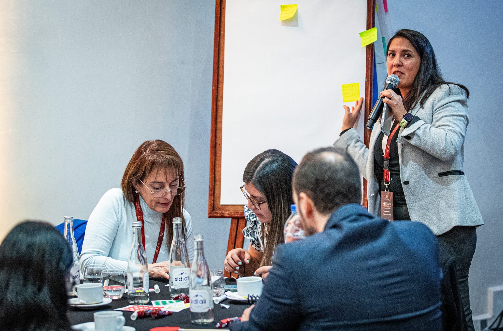 NGO Regional Meetings at the 4th Global Ministerial Conference on Road ...